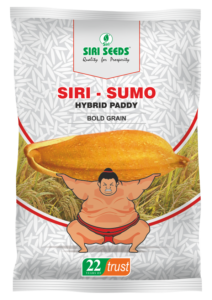 Siri-Sumo - Siri Seeds